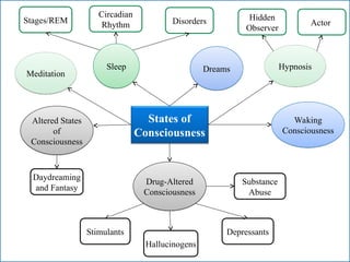 psychology5-1-principles_of_sensation.ppt