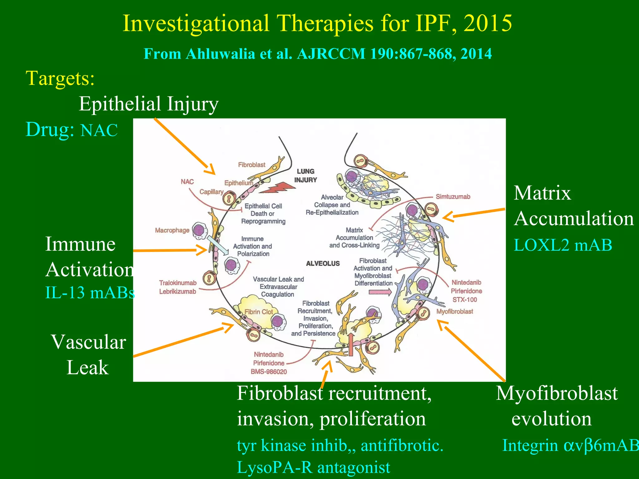 Idiopathic Pulmonary Fibrosis (IPF) | PPT