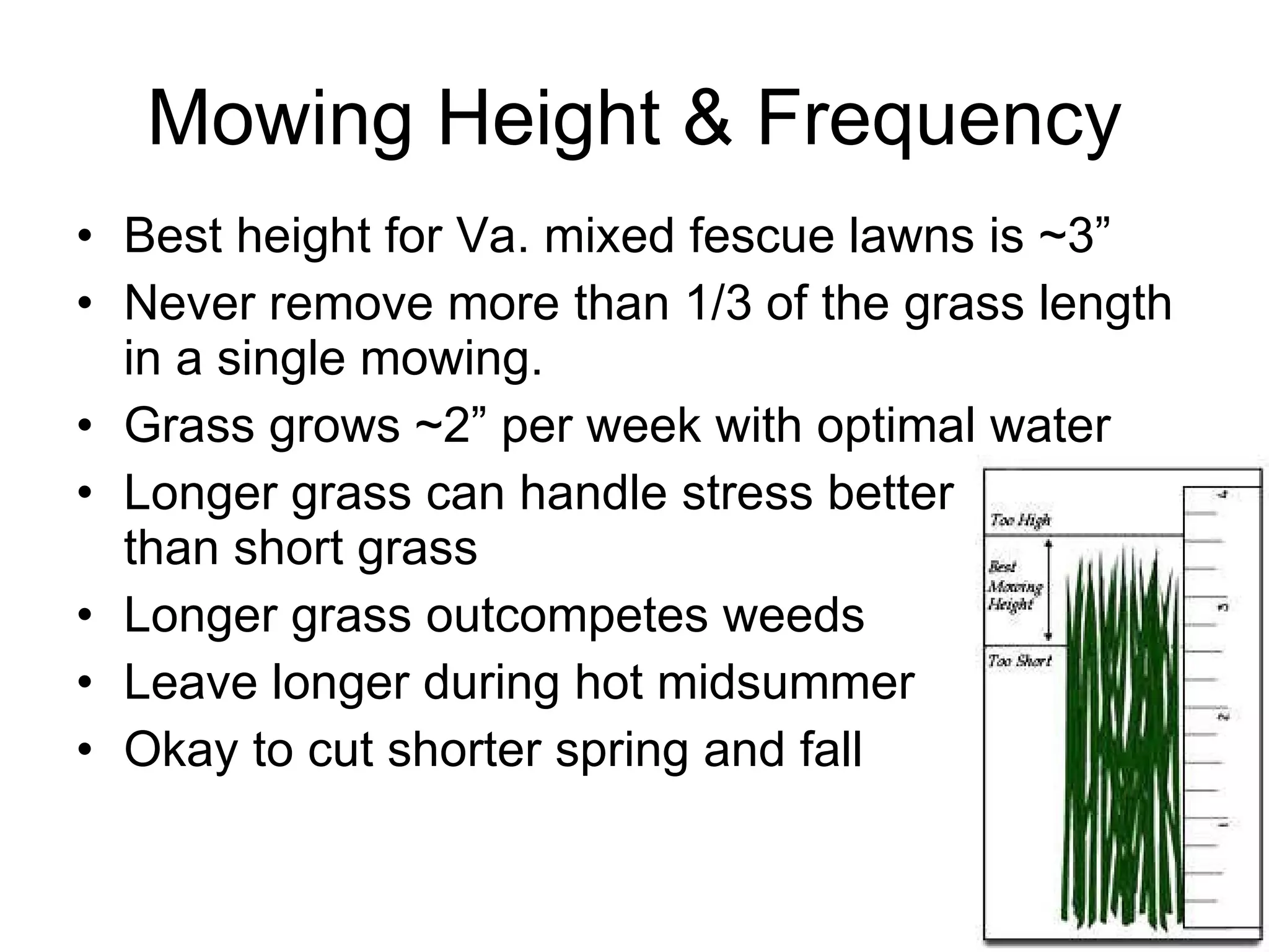 5 10 mowing lawns & safety | PPT