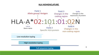 5-11-24 Epitope matching in renal transplantation.pptx