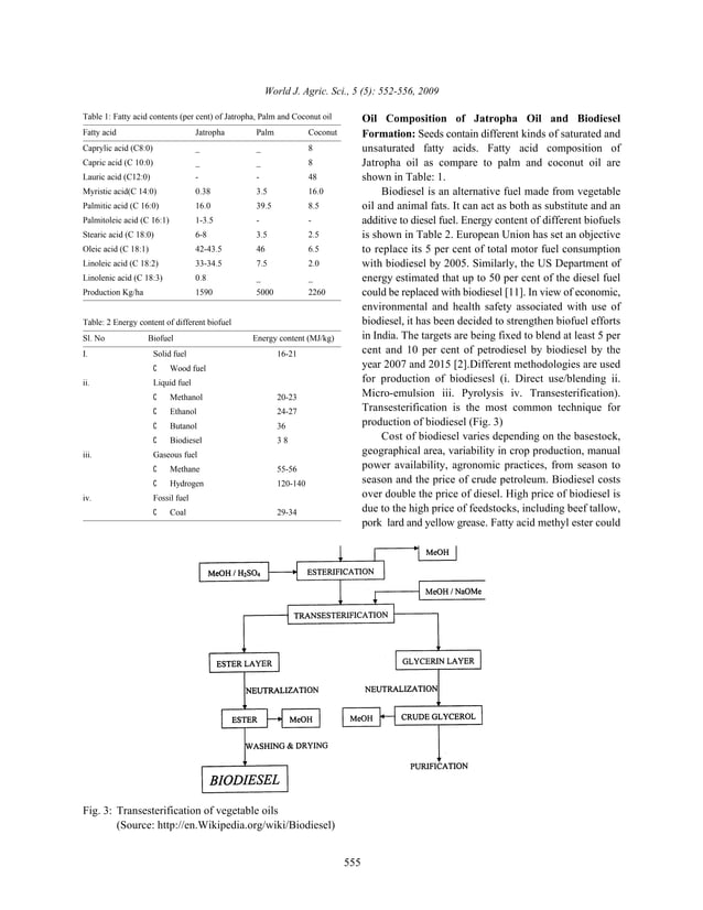 Jatropha Curcas Oil: Substitute for Conventional Energy | PDF