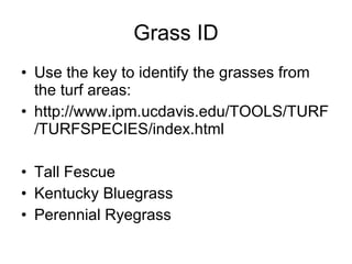 5 12 lawn maintenance | PPT