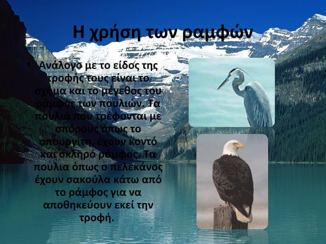 φυσική, τα ζώα, (μερος ε)- προσαρμογη των ζωων στο περιβαλλον | PPT