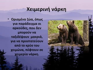 φυσική, τα ζώα, (μερος ε)- προσαρμογη των ζωων στο περιβαλλον | PPT