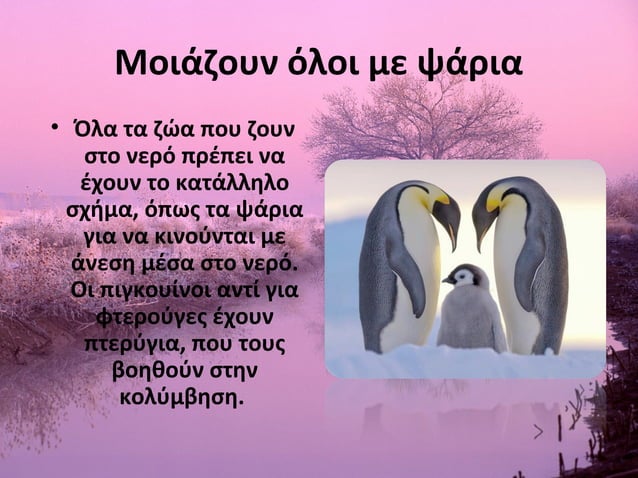 φυσική, τα ζώα, (μερος ε)- προσαρμογη των ζωων στο περιβαλλον | PPT