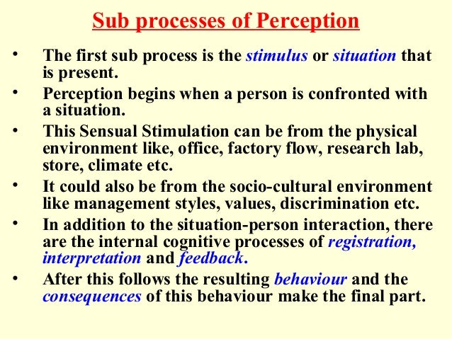 5. the perception process