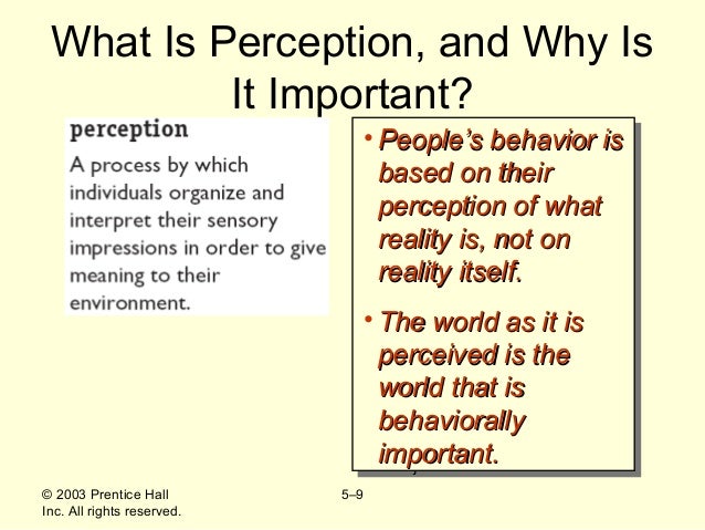 5. the perception process