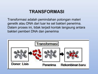 5. media ppt (hana) | PPT