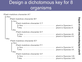 5.5 classification | PPT