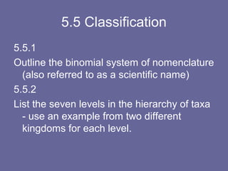 5.5 classification | PPT