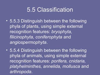 5.5 classification | PPT