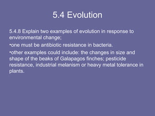 5.4 evolution | PPT