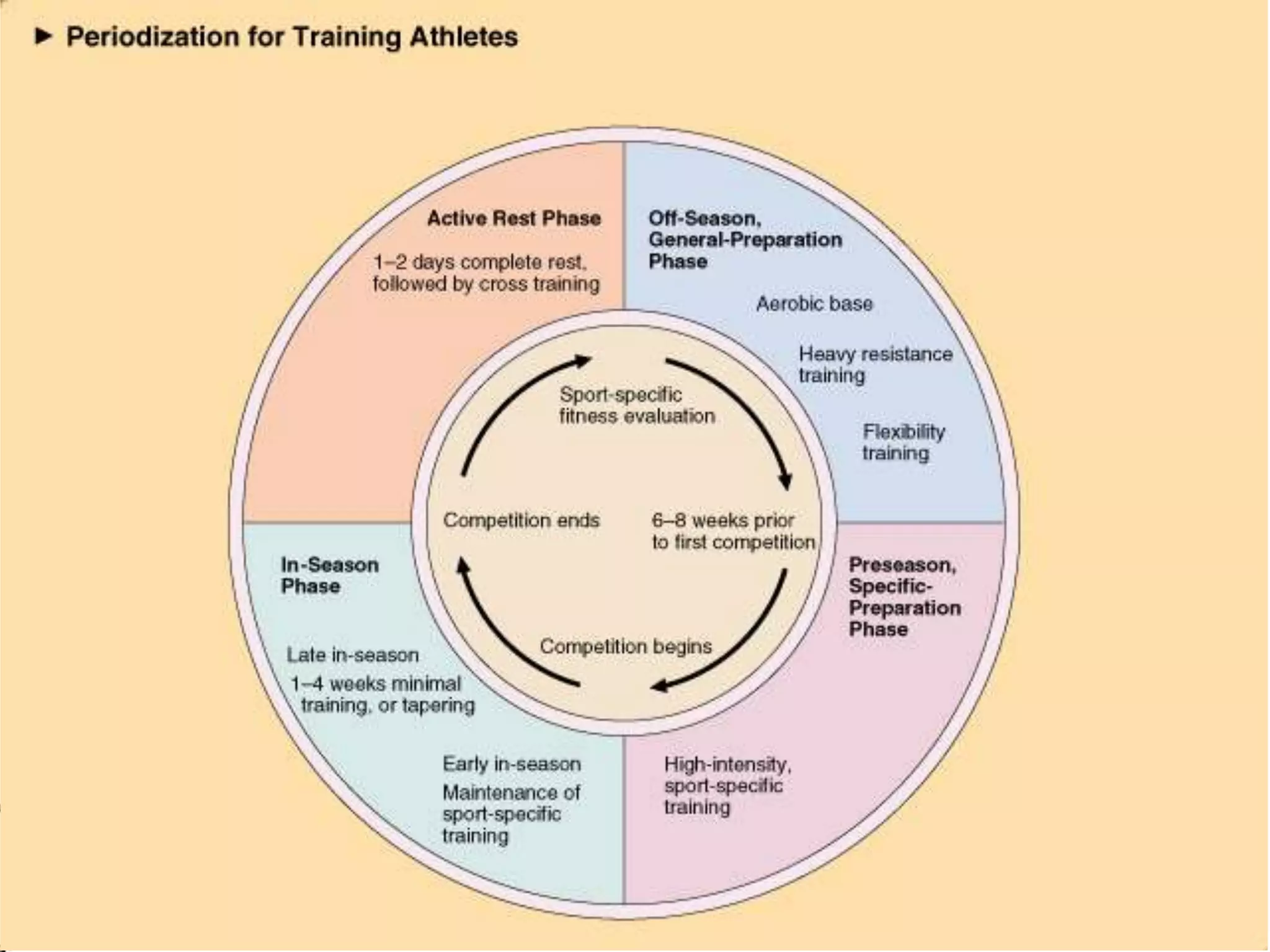 5. principles of training | PPTX