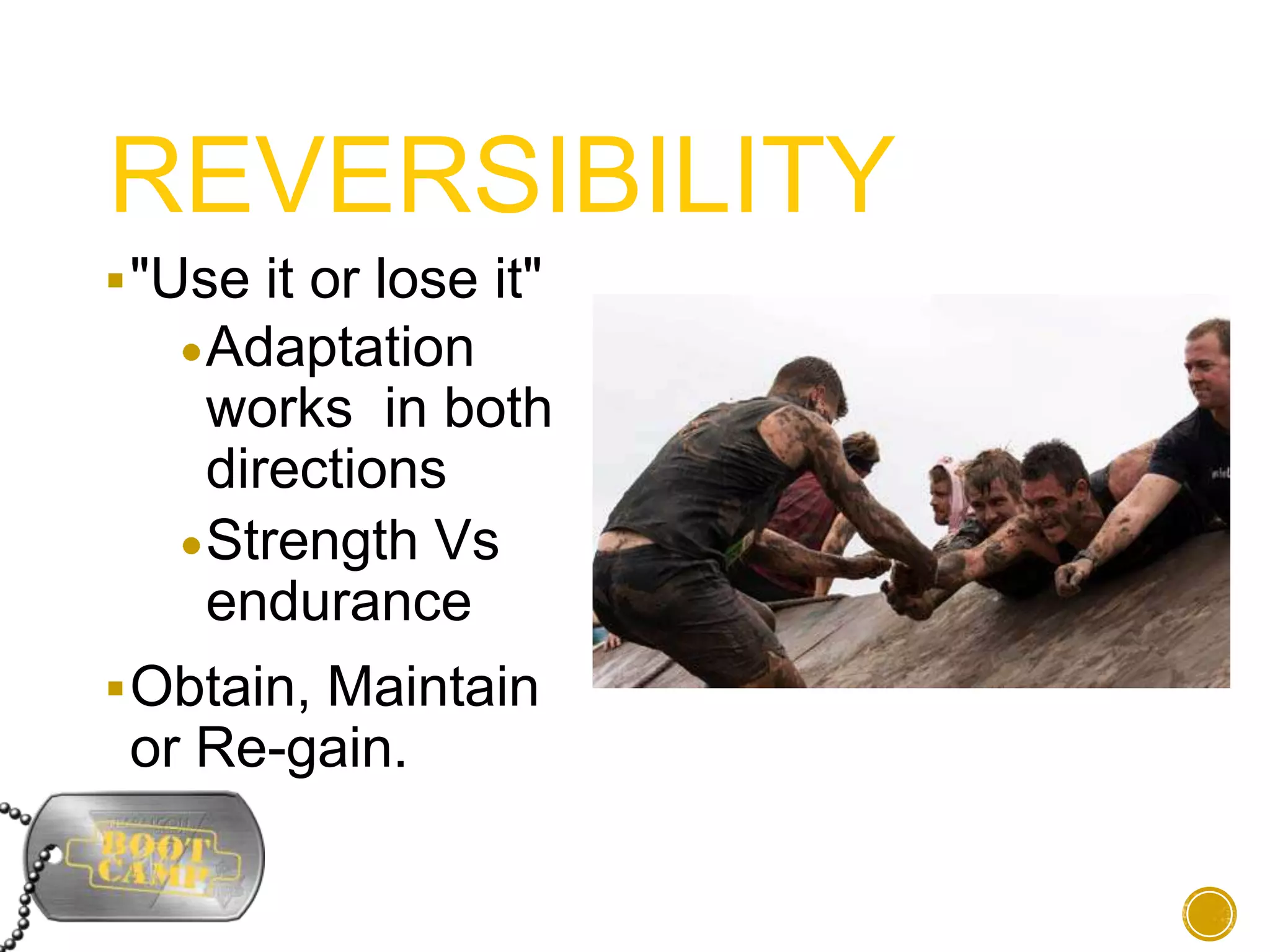 5. principles of training | PPTX