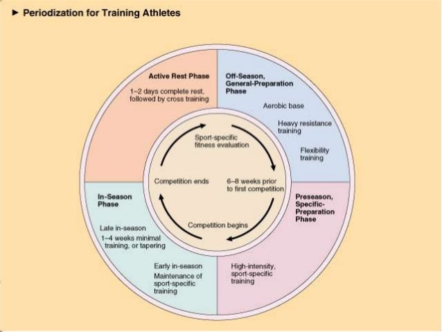 5. principles of training