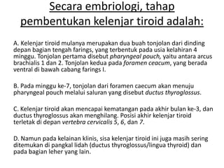 anatomi dan fisiologis tiroid | PPTX