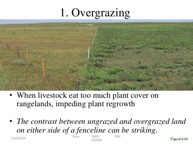 Negative Effects Of Overgrazing Greentumble Assessment of the Effects ...