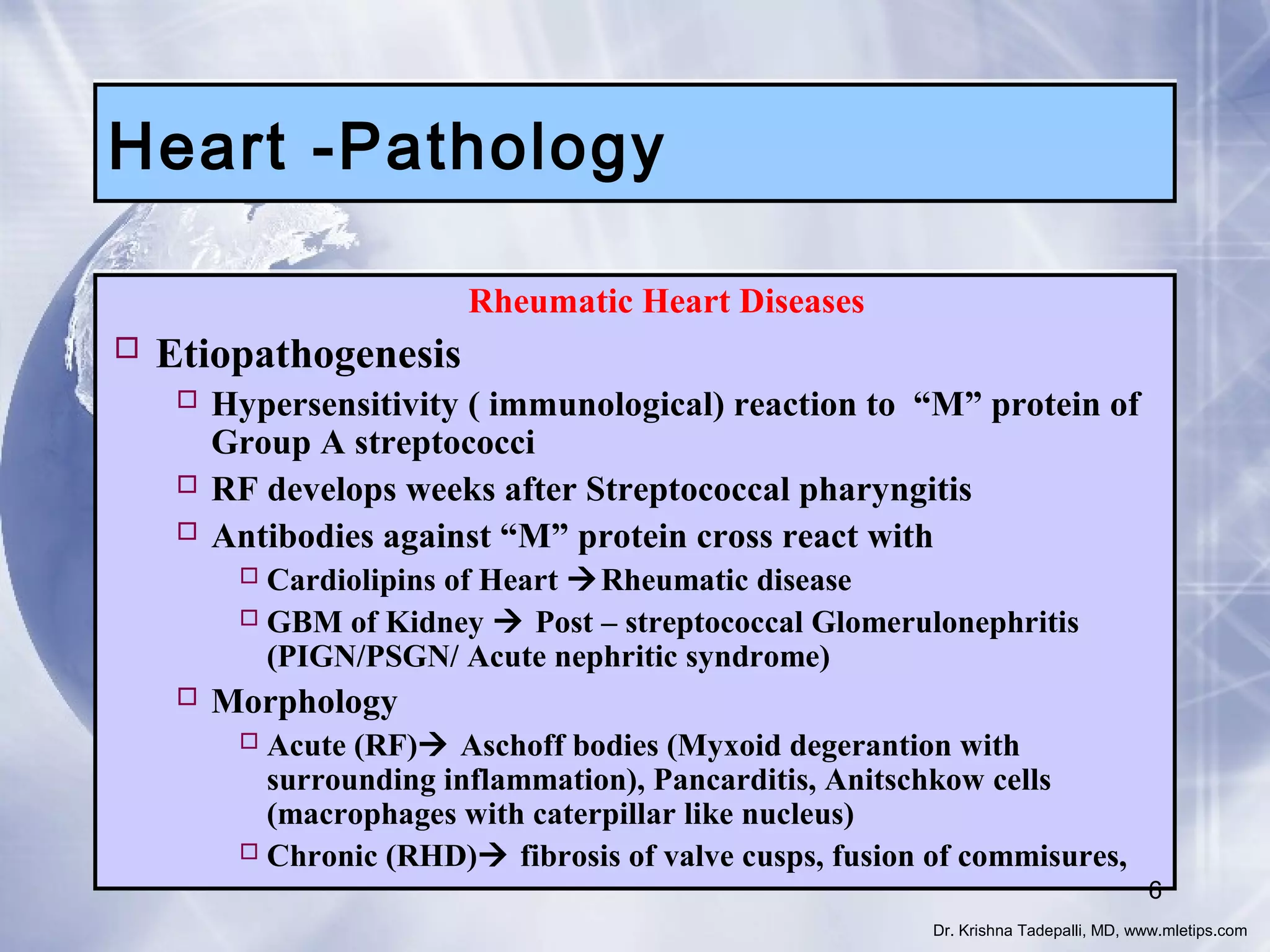 5.heart pathology; valvular heart diseases | PPT
