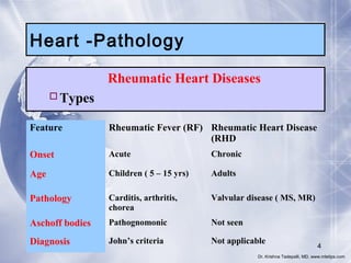 5.heart pathology; valvular heart diseases | PPT