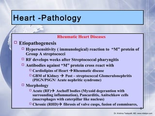 5.heart pathology; valvular heart diseases | PPT