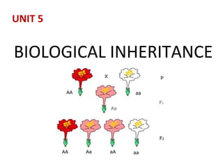 5.biological inheritance | PPT
