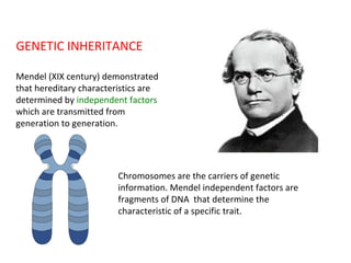 5.biological inheritance | PPT