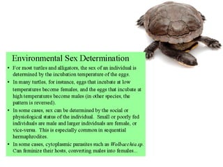 5.biological inheritance | PPT