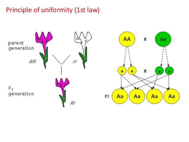 5.biological inheritance