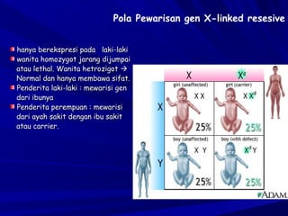 pewarisan sifat genetik | PPT