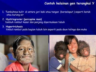 pewarisan sifat genetik | PPT