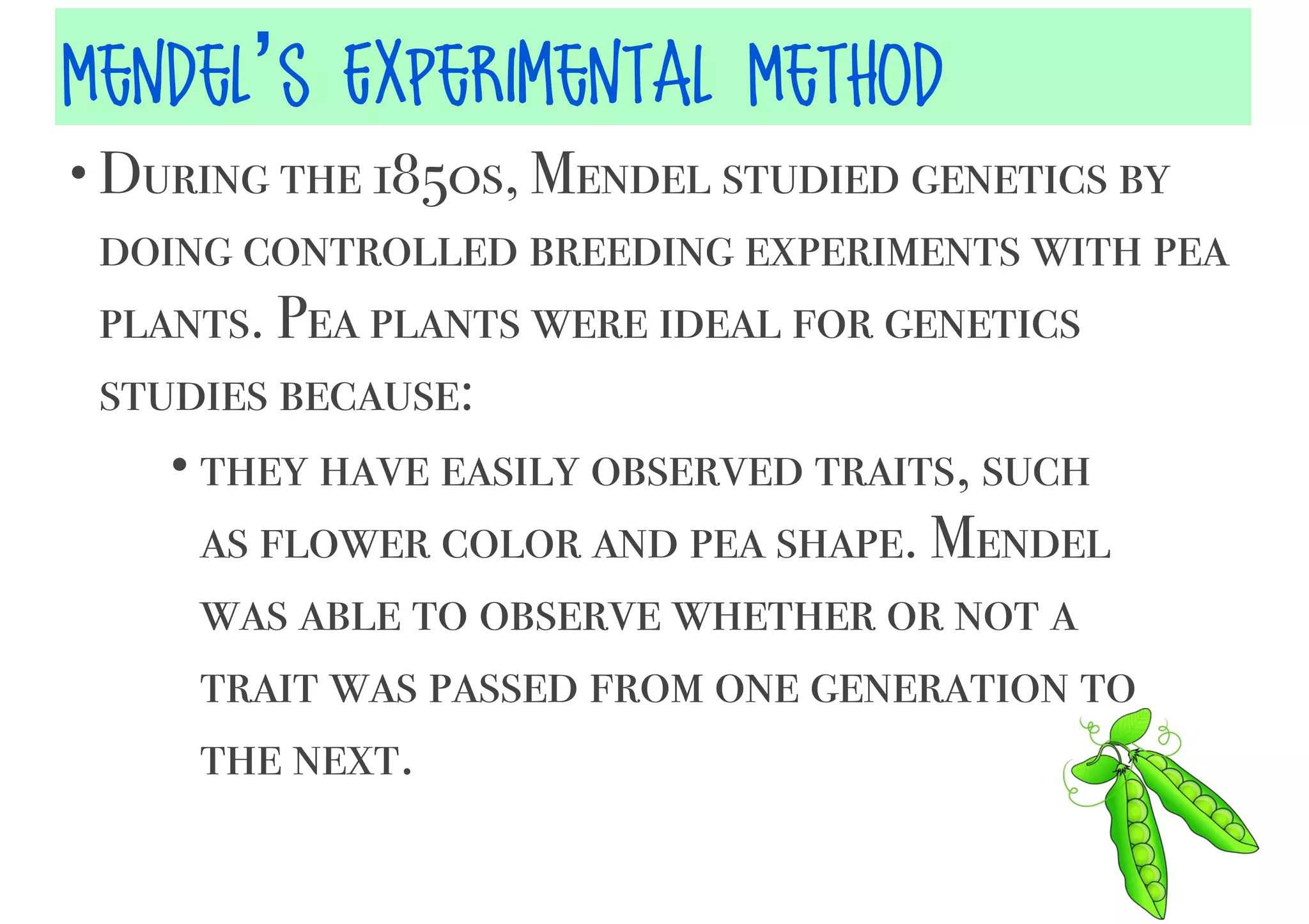 Mendel and his Peas | PDF