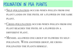 Mendel and his Peas | PDF
