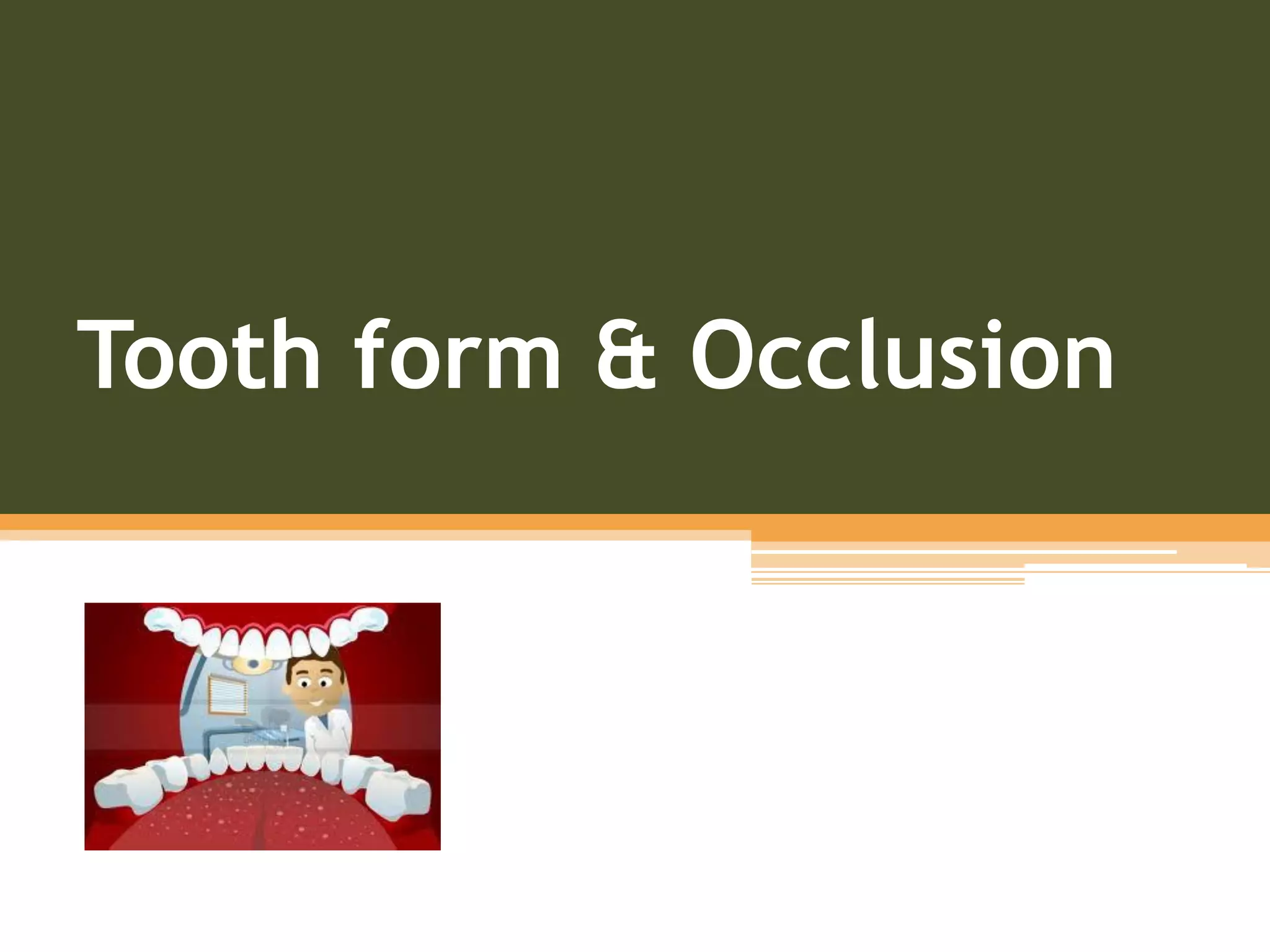 tooth form and occlusion | PDF