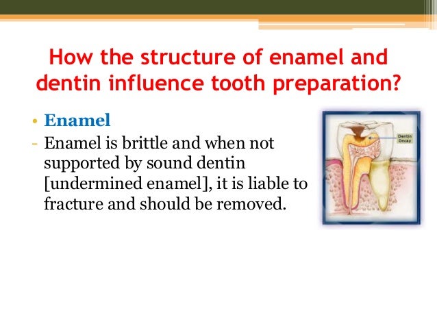 Tooth Form And Occlusion