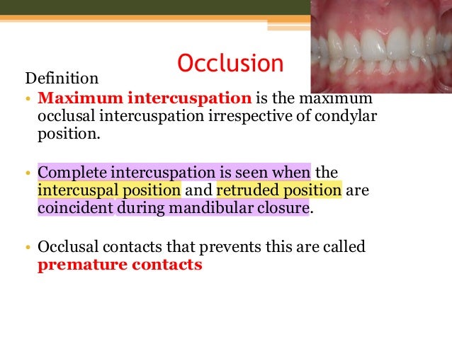 tooth form and occlusion