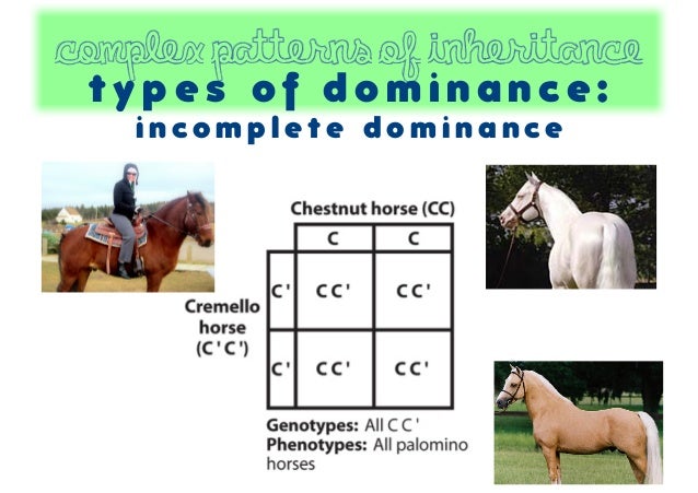 Understanding Inheritance