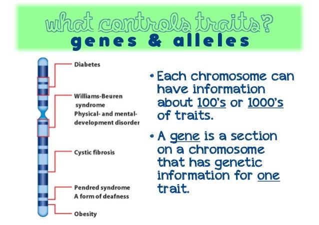 Understanding Inheritance