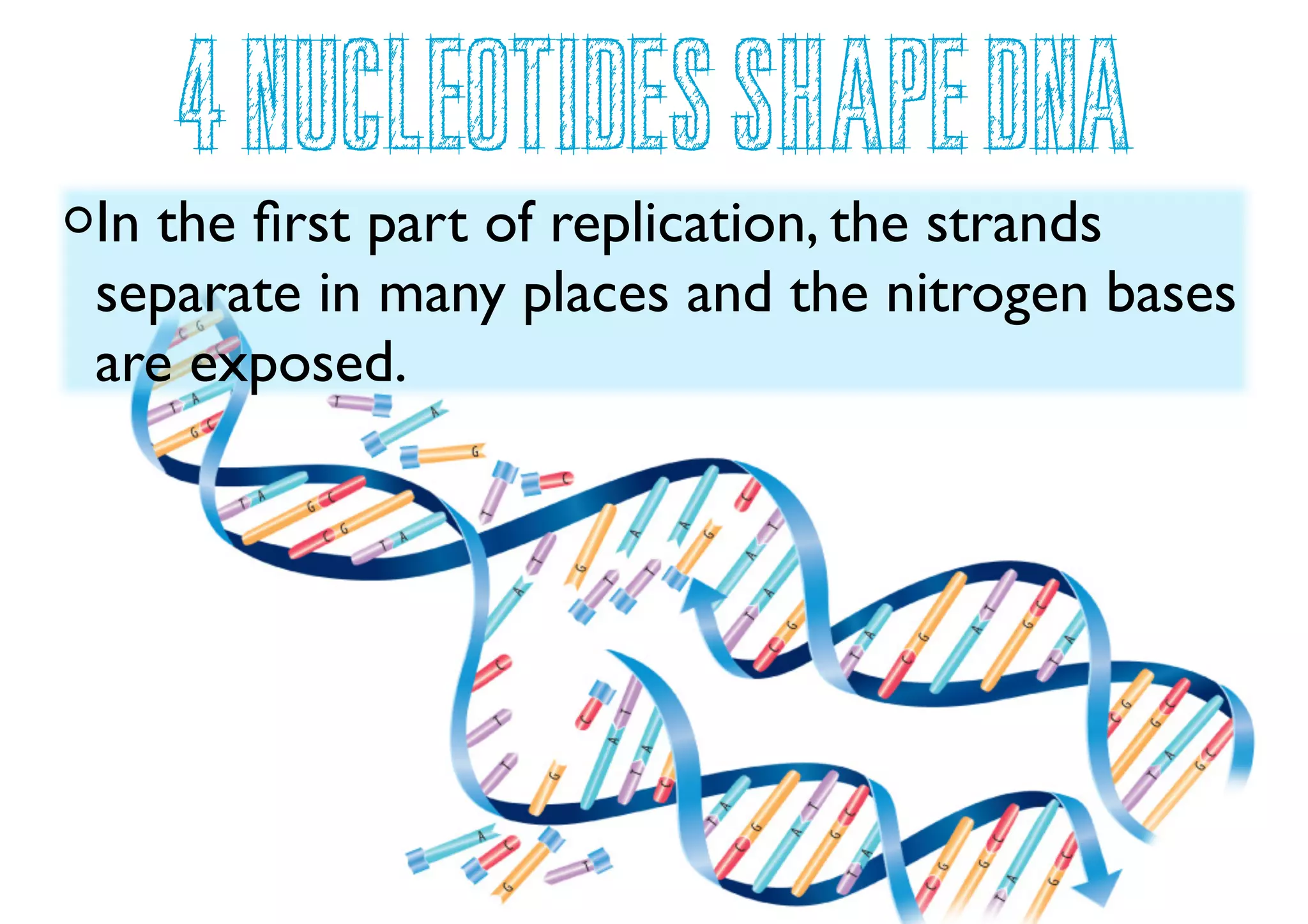DNA and Genetics | PDF