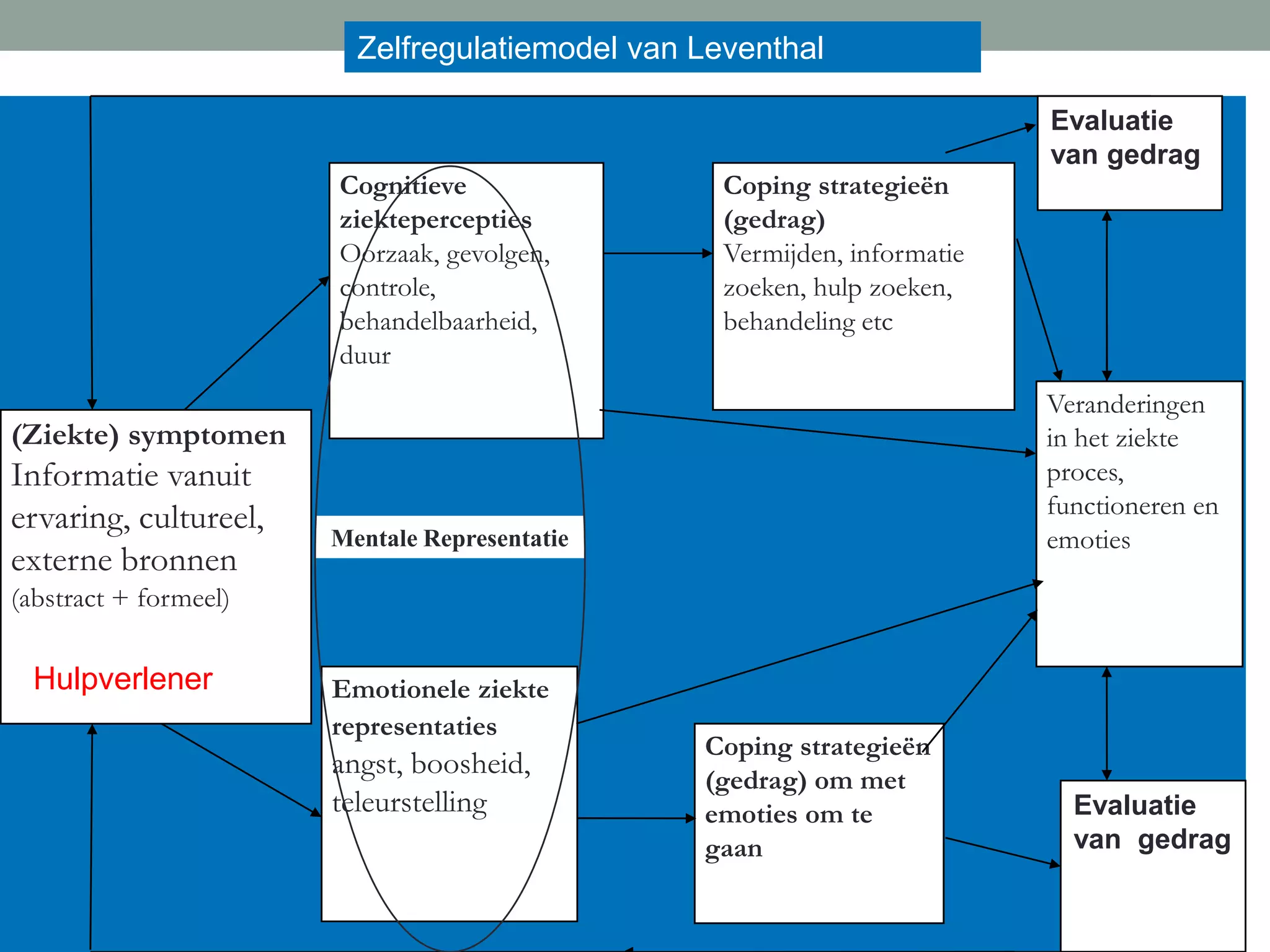 Paul van Wilgen | PPTX
