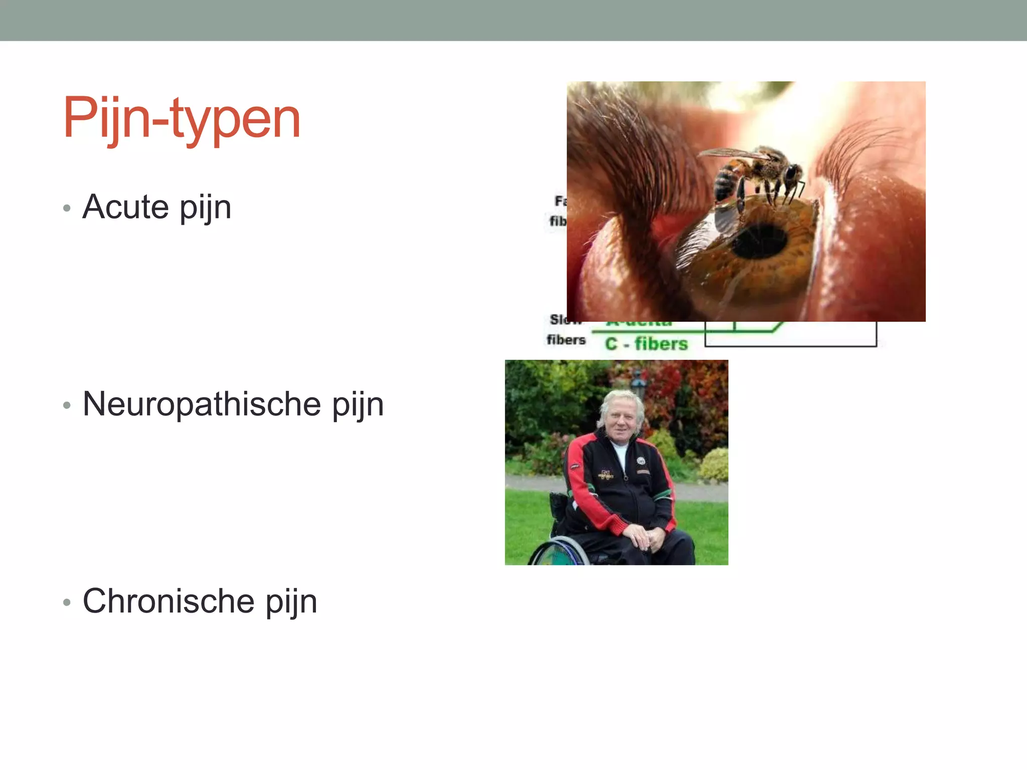 Paul van Wilgen | PPTX