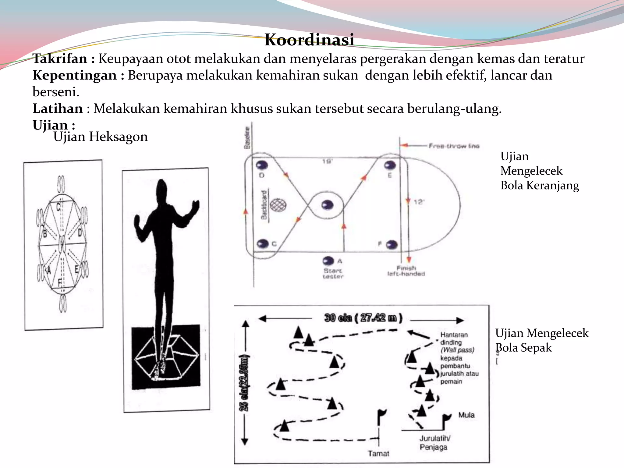 Sains Sukan STPM: Kecergasan fizikal | PPTX