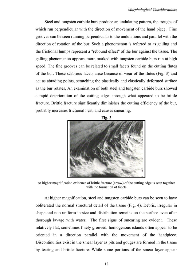 morphology of smear layer/rotary endodontic courses by indian dental ...