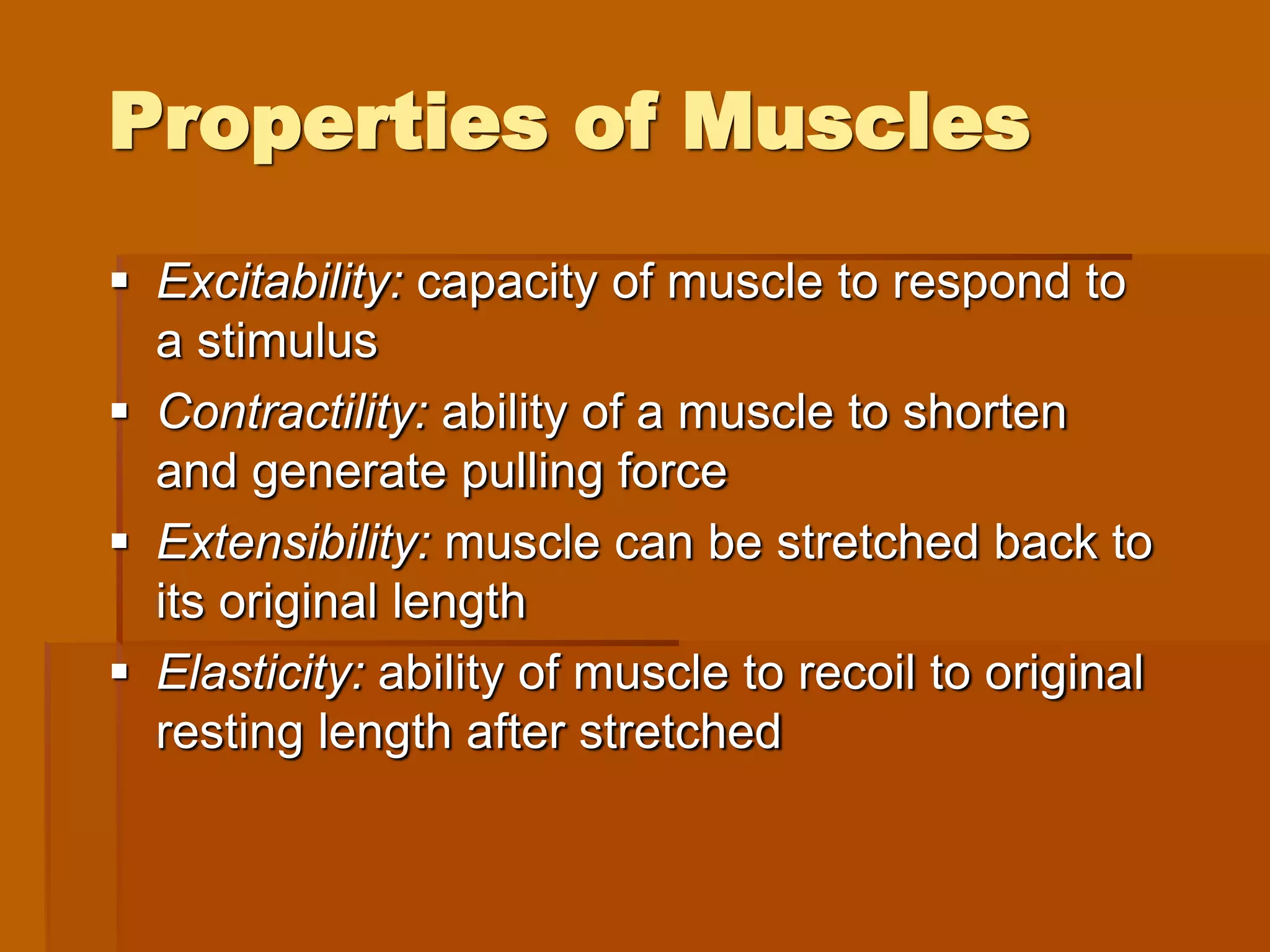 5. muscular physiology | PPTX