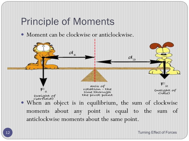 Turning Effect of Forces | PPTX