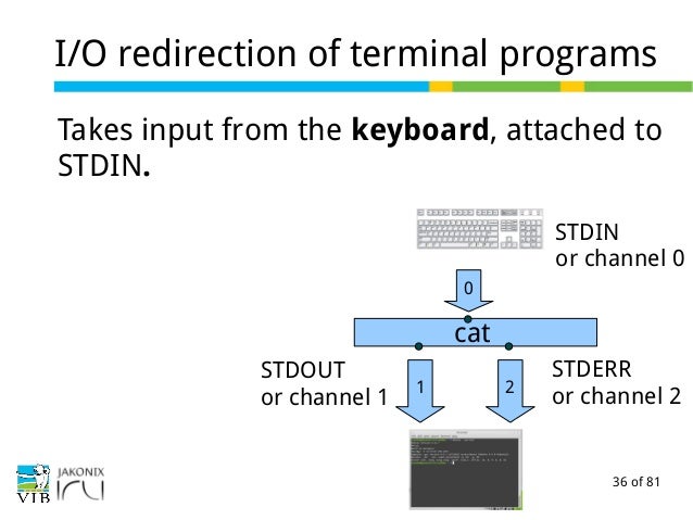 Linux Input Redirection Example C