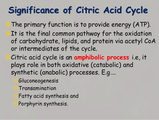 Citric Acid Cycle