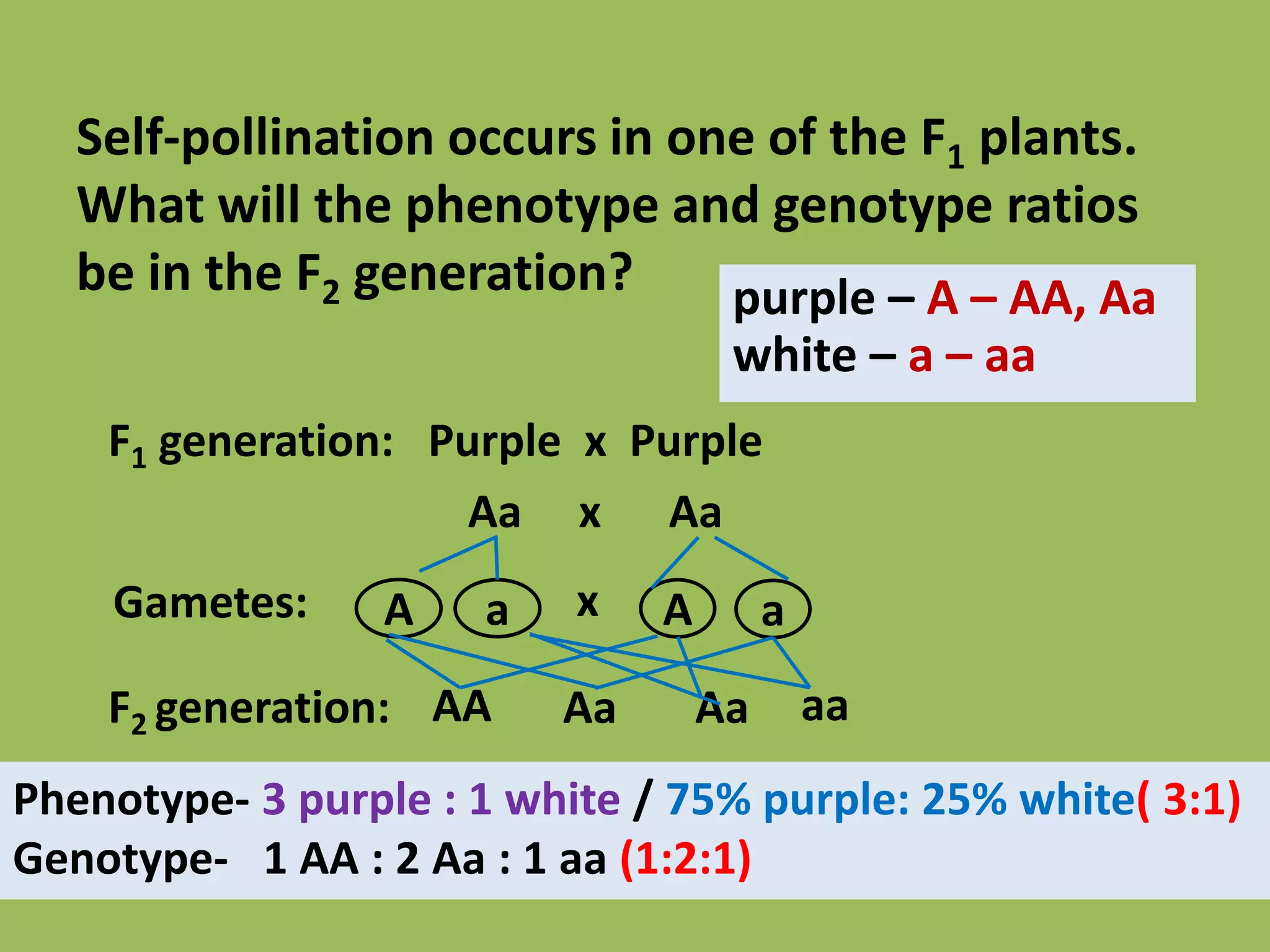 Biology Form 5 Chapter 5 : 5.1 Inheritance | PPTX