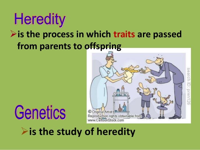Biology Form 5 Chapter 5 : 5.1 Inheritance