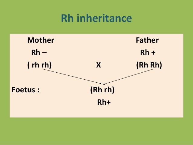 Biology Form 5 Chapter 5 : 5.1 Inheritance