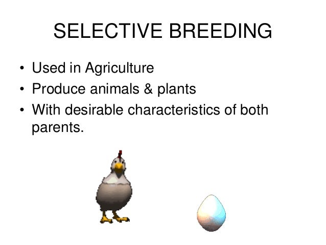 BIOLOGY FORM 5 CHAPTER 5 - 5.3 B (Genetics Application)